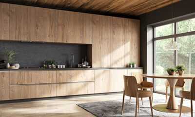 Stone Alliance - Stone Alliance